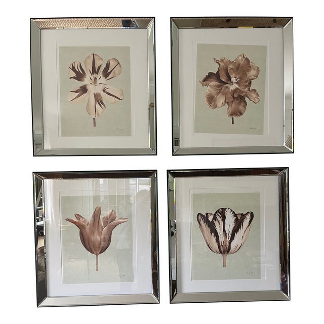Original Botanical Prints by Peter Arnold in Trowbridge Gallery ...