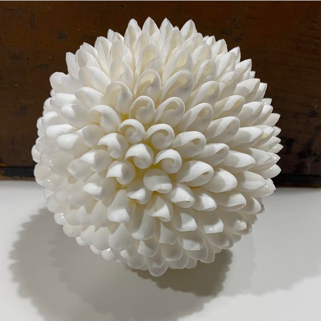 Vintage White Sea Shell Ball | Chairish