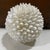 Vintage White Sea Shell Ball | Chairish