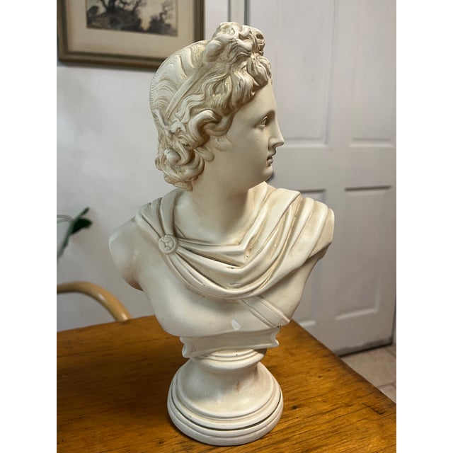 Mid 20th Century Vintage Neoclassical Bust of Apollo | Chairish