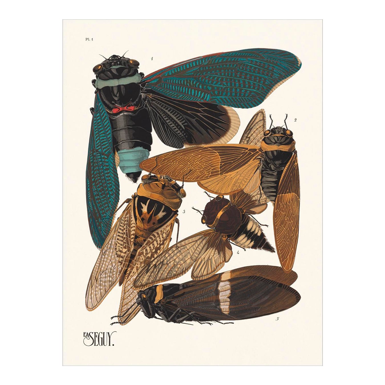 Insects Giclee Reproduction Art Print by Emile-Allain Seguy | Chairish
