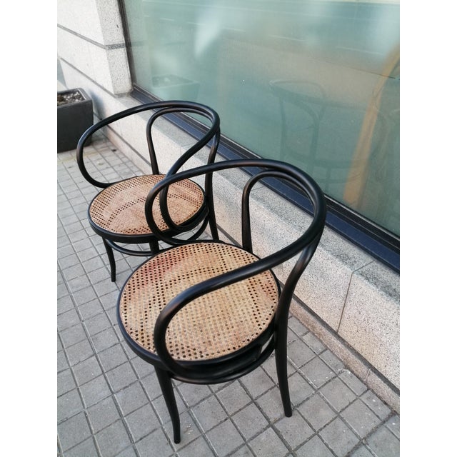 Set of Mid-Century Model 209 Armchairs attributed to Michael Thonet for ...