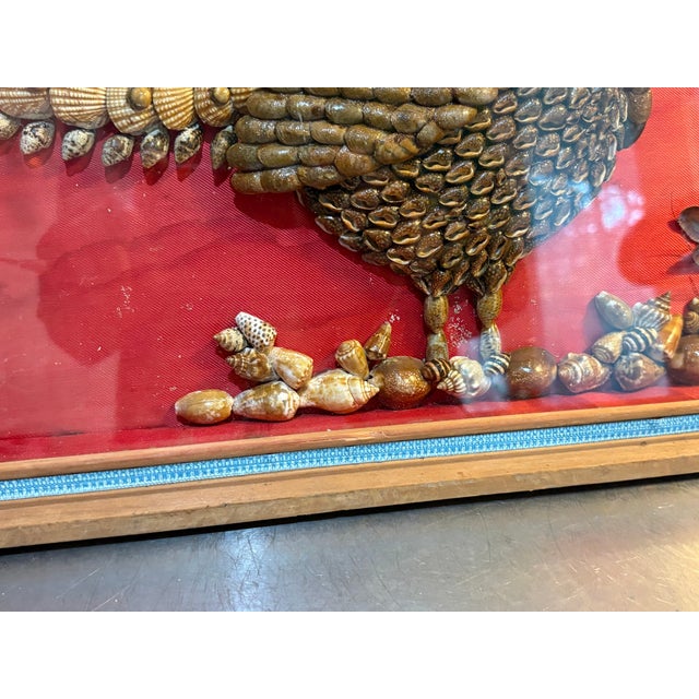 1970s Handmade Peacock Shell Collage | Chairish