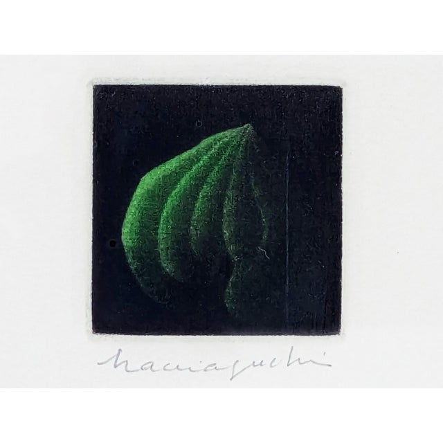 Yozo Hamaguchi Original Color Mezzotint "Happy" 1987 | Chairish