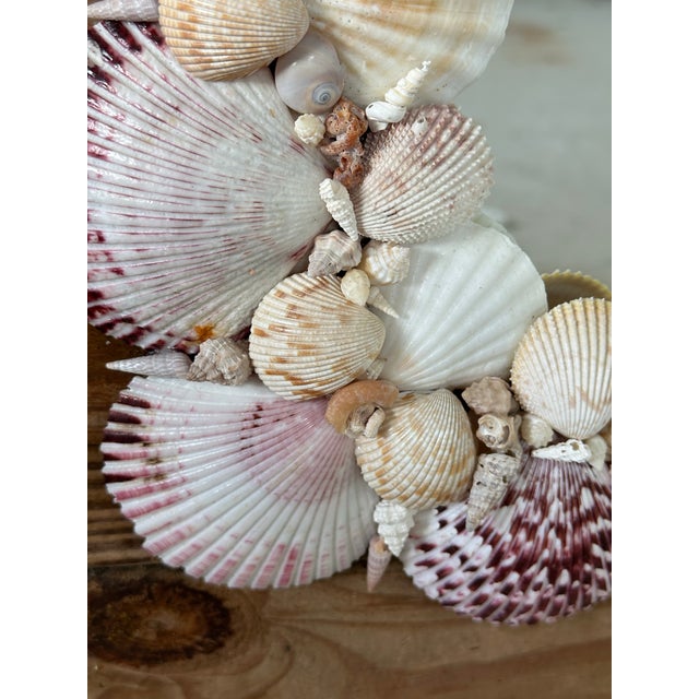 Coastal Handmade Pink Scallop Seashell Wall Mirror | Chairish