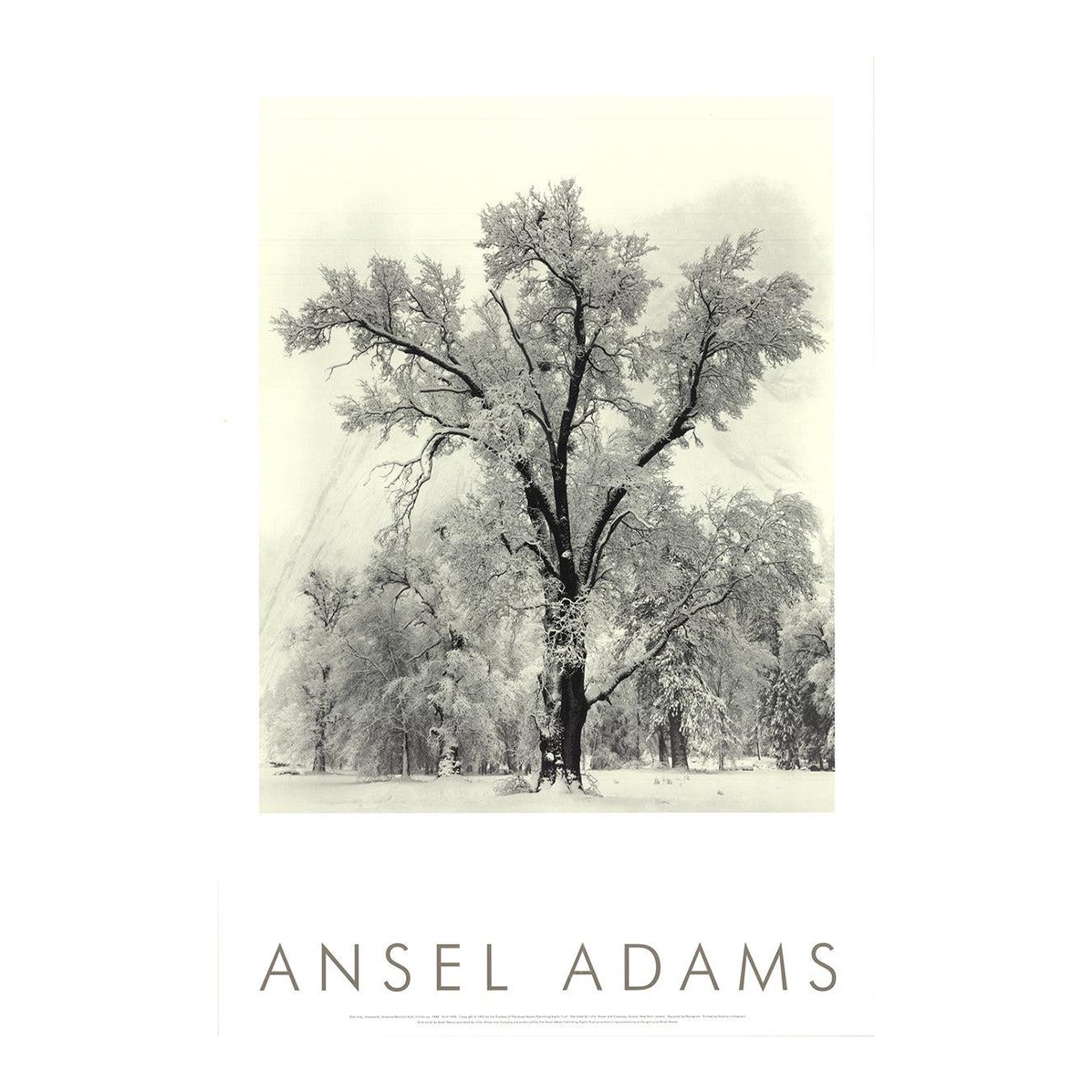 1997 Ansel Adams 'Oak Tree, Snowstorm, Yosemite National Park ...