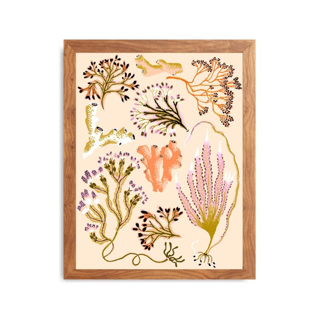 Seaweed Botanica (Sand) Giclee Print by Sarah Gordon | Chairish