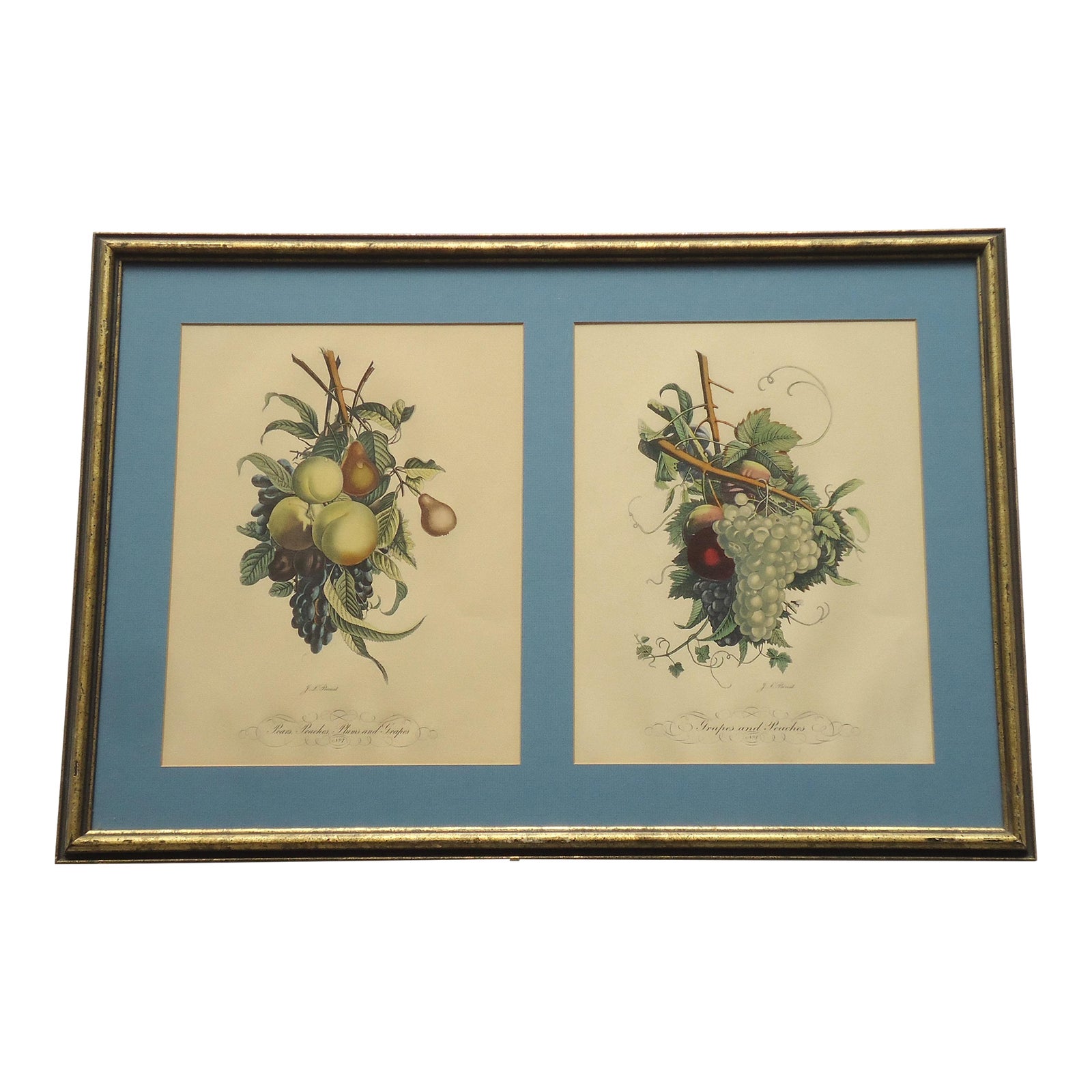 Antique Botanical Jean Louis Prevost Fruit Prints Peaches Plums and ...