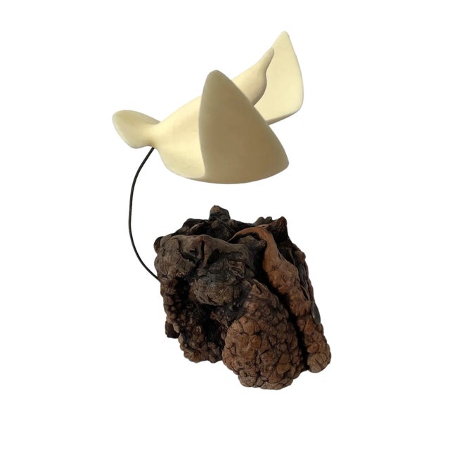 Large John Perry Burl Wood Mounted Flying White Seagull Kinetic Art ...