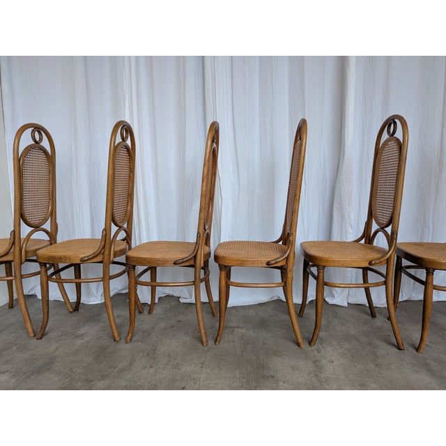 Vintage Bentwood Cane Dining Chairs, 1970s, Set of 6 | Chairish