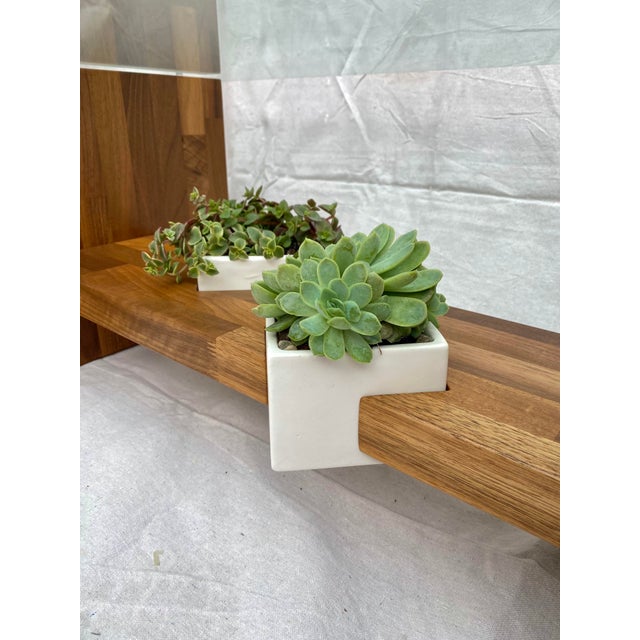Biophilic Modern Coffee Table | Chairish