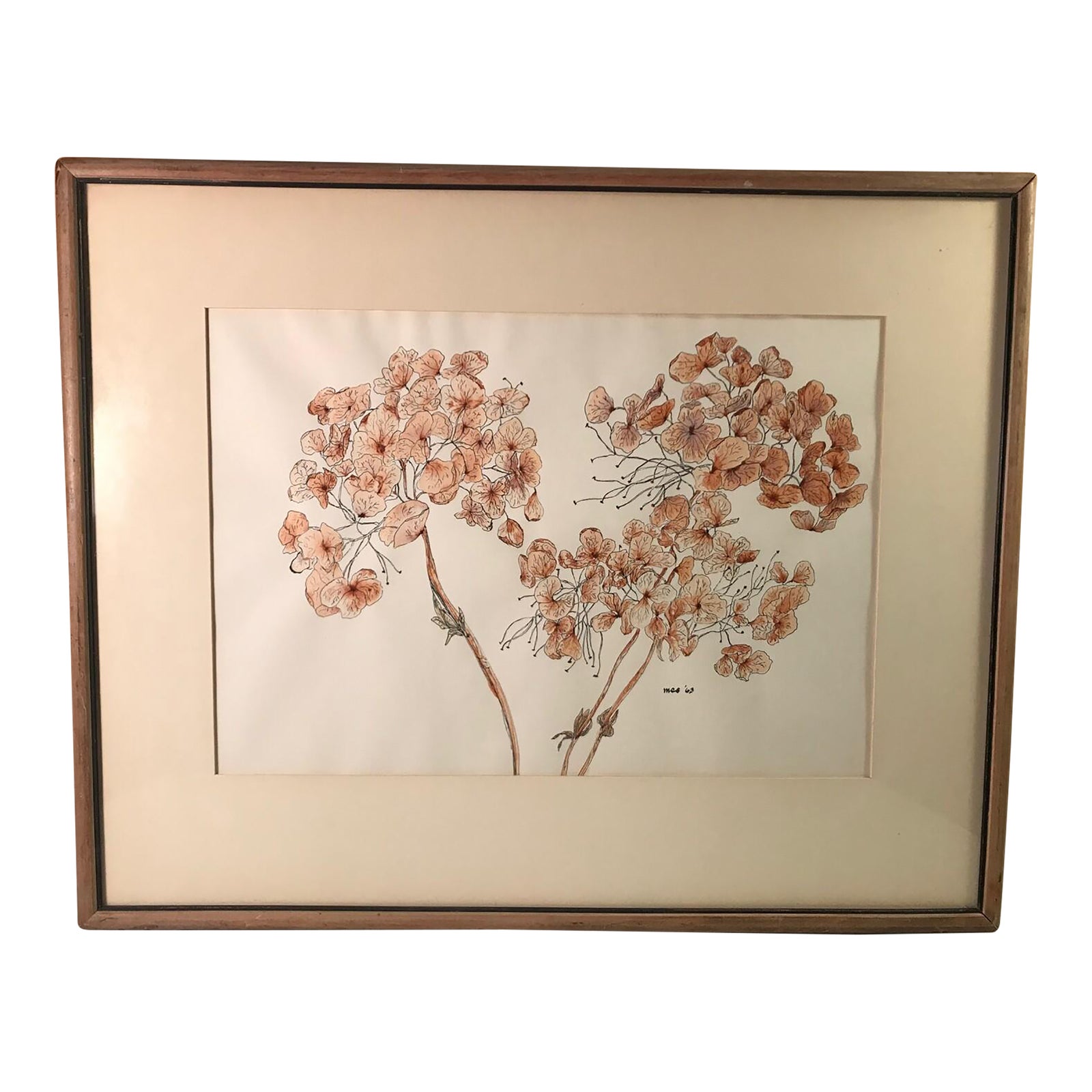 1963 Original Watercolor & Ink "Hydrangulas" by American Artist Marvin ...