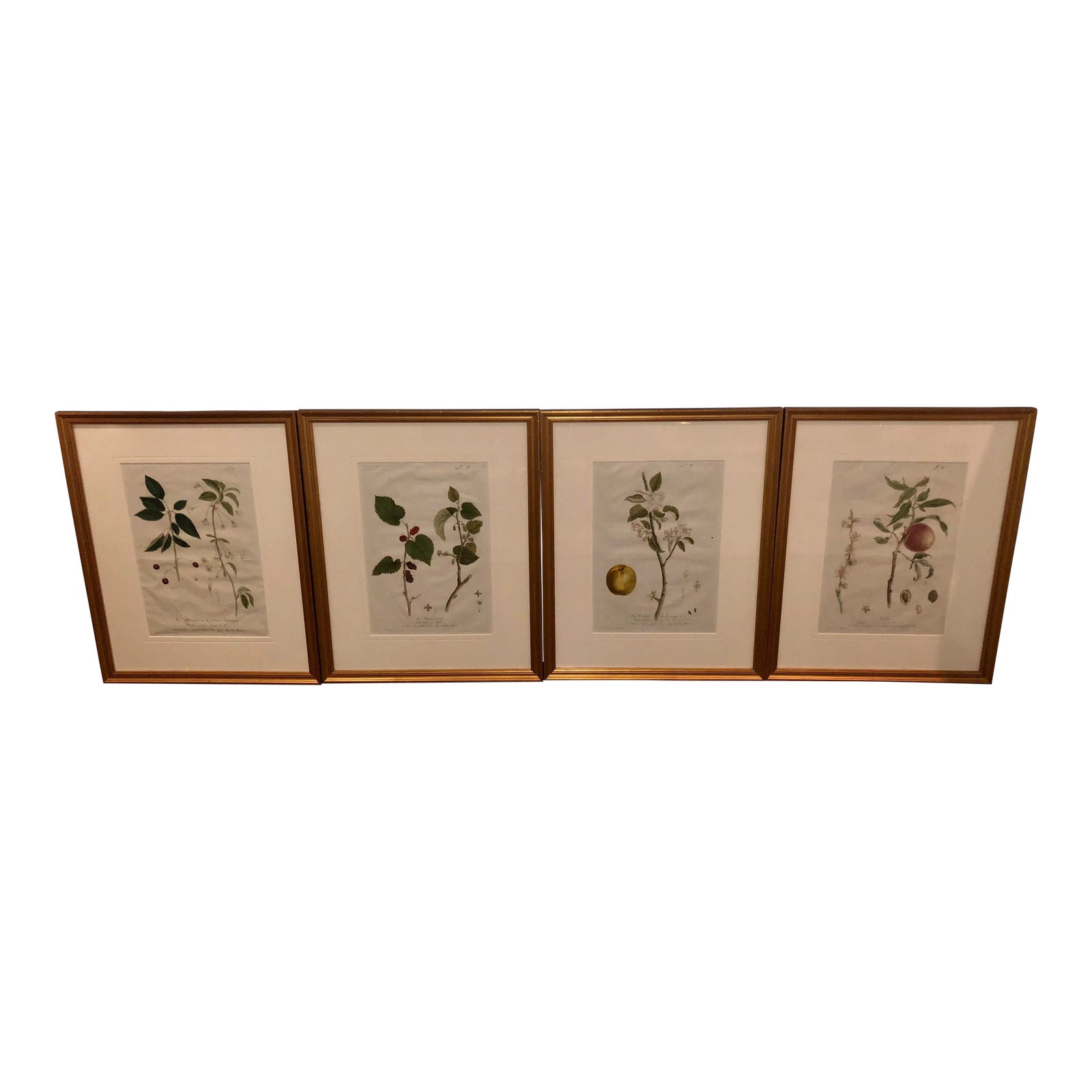 Rare Antique French Drawings by Genevieve De Nangis-Regnault - Set of 4 ...