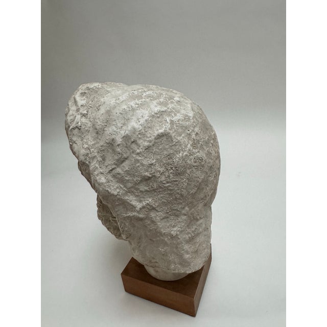 Bust of an Ancient Greek or Roman Bard on Wood Base | Chairish