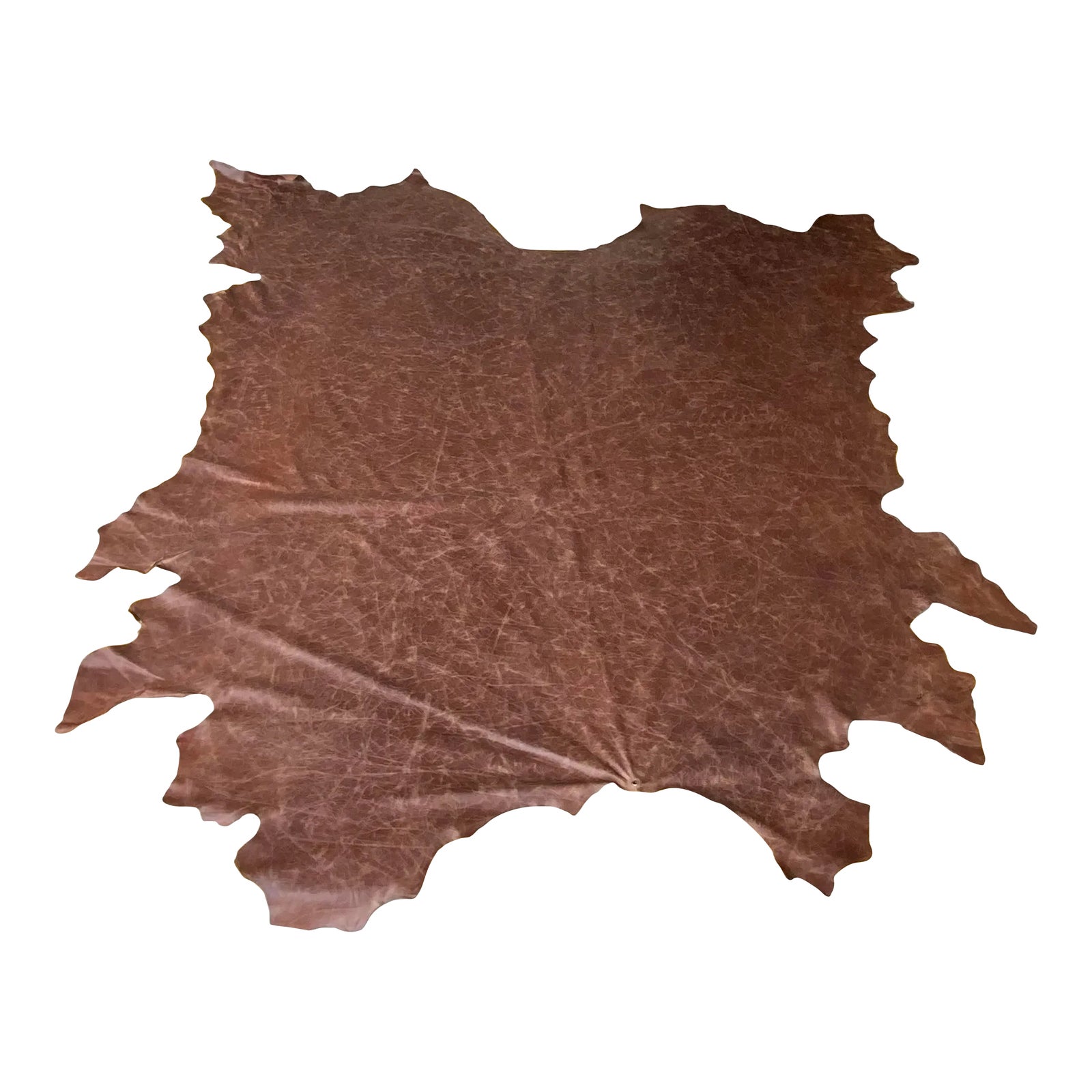 Vintage Style Sepia Aniline Dyed Leather Hide | Chairish