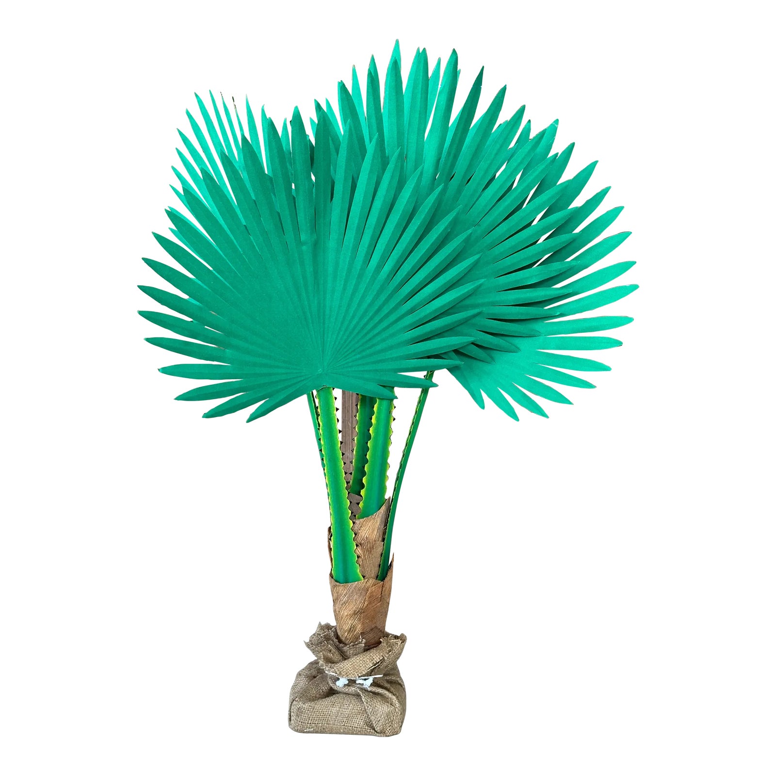 Tropical Coastal Canvas “Buri” Palm Tree | Chairish