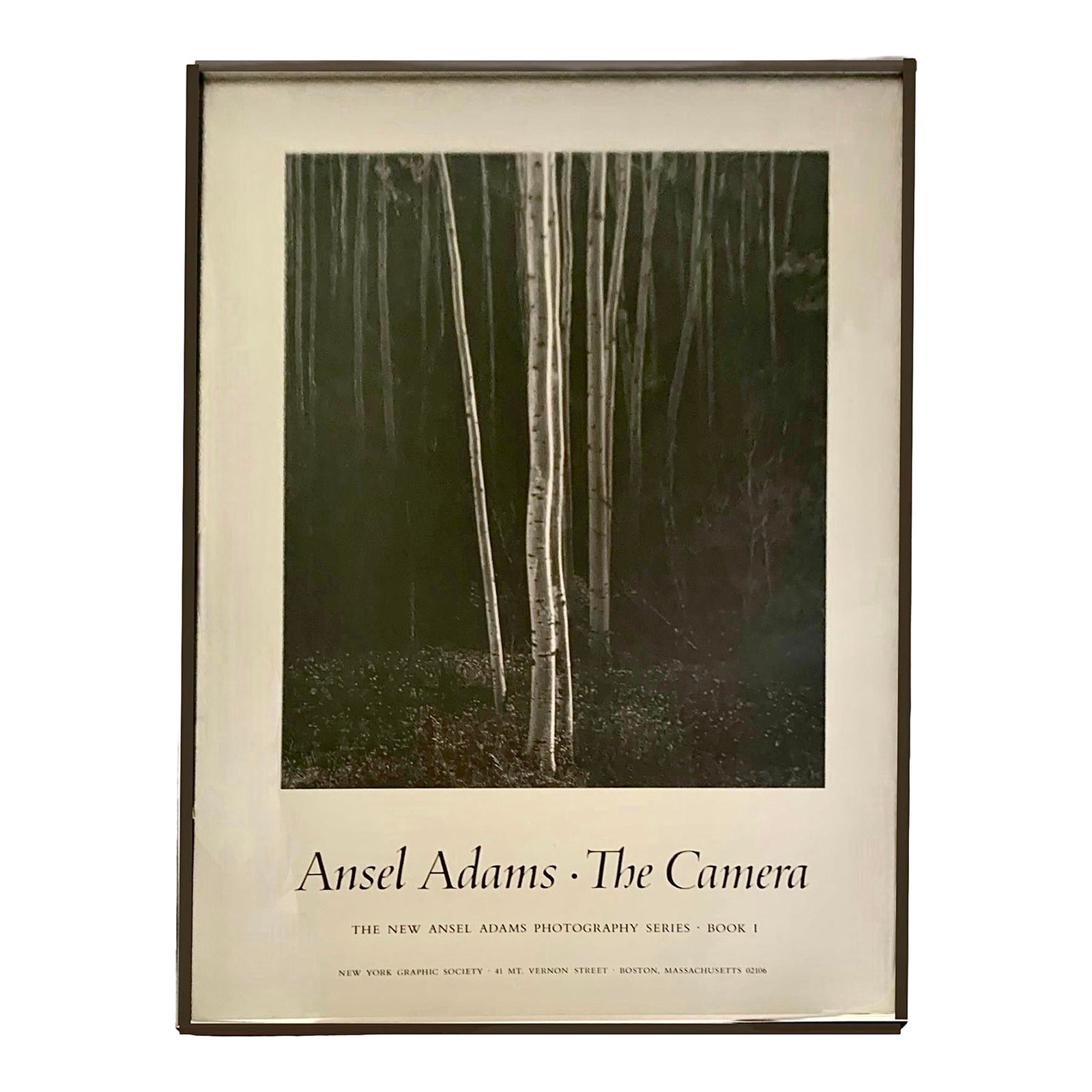Ansel Adams Poster From the Photography Series Titled the Camera San ...