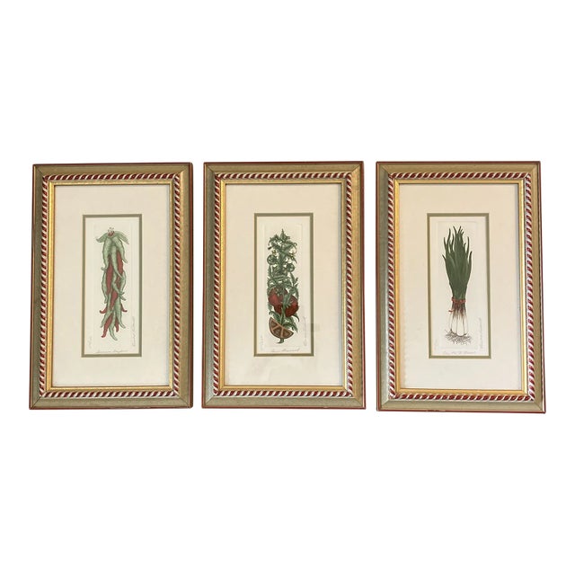 1980’s Original Vintage 3 Vegetable Colored Lithograph Prints Custom ...