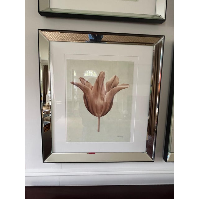Original Botanical Prints by Peter Arnold in Trowbridge Gallery ...