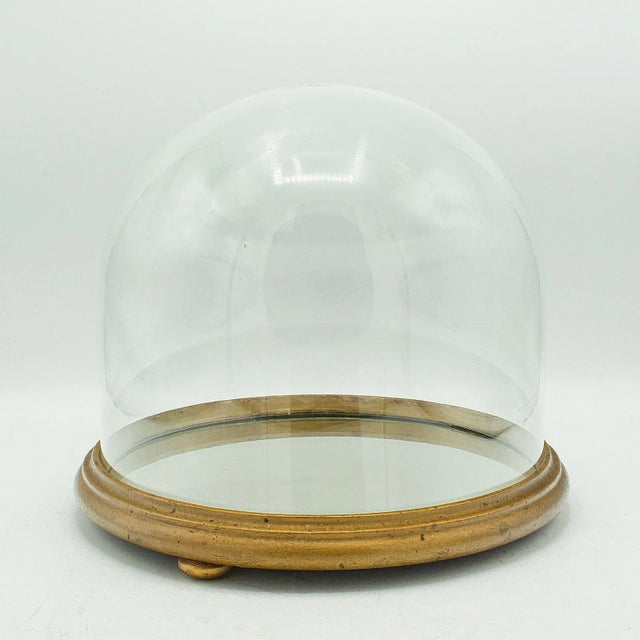 1880's Antique Victorian English Mirrored Display Dome | Chairish
