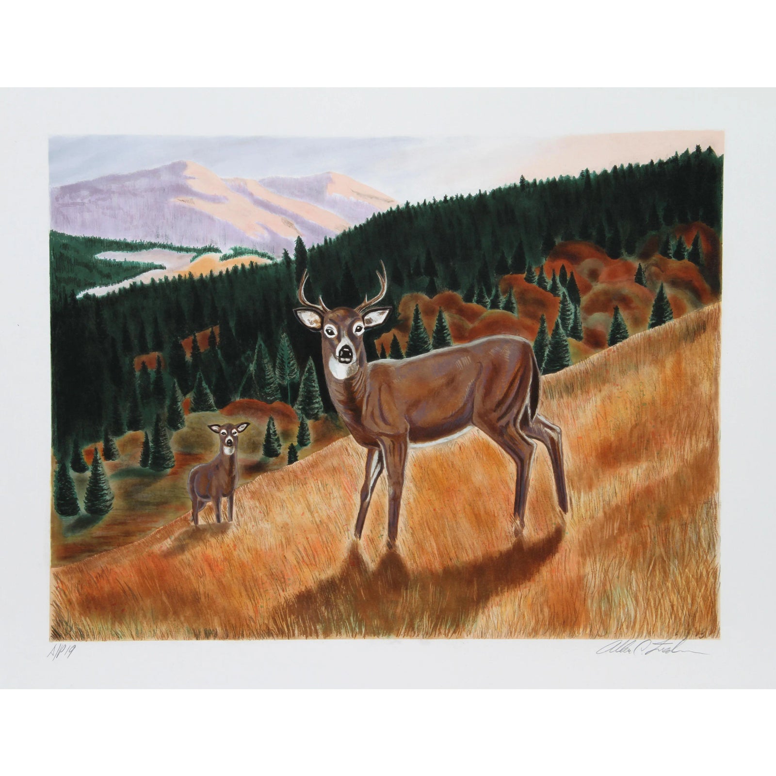 Allen Friedman, Morning Meadow, Lithograph | Chairish