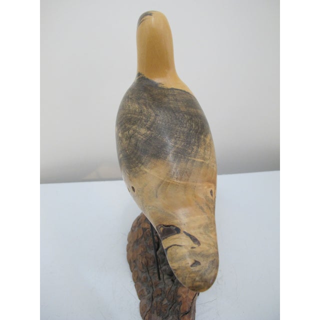 Marc Smith MCM Style Buckeye Burl Wood on Manzanita Base Curlew Bird ...