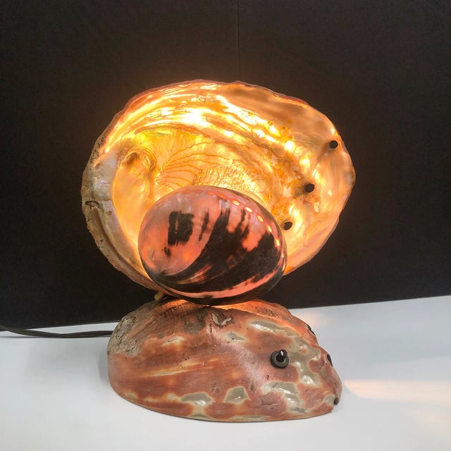 1950s Large Seashell Accent Light | Chairish