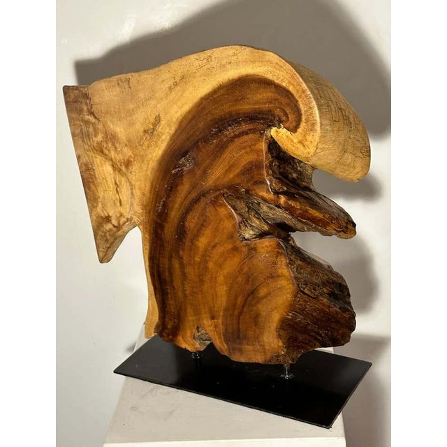 Acacia Organic Raw Edge Slab Sculpture on a Black Rectangular Steel ...