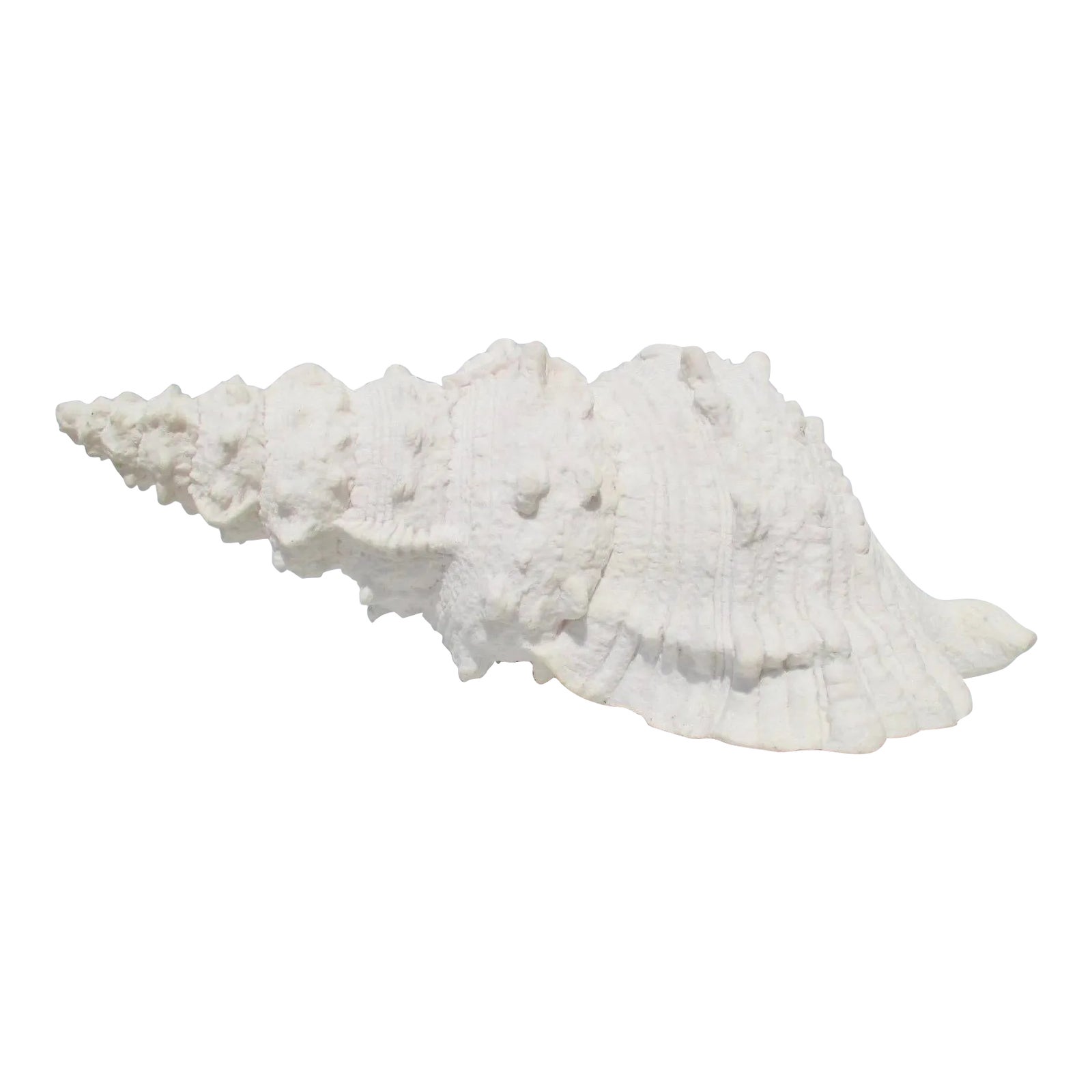 Lamp of Giant Conch Seashell Cast Resin Sculpture | Chairish