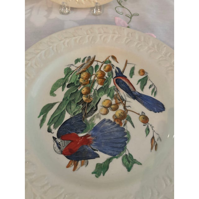 Early 1900s John James Adams Audubon Plates- Set of 4 | Chairish