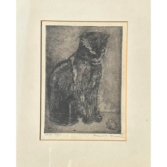 Antique Etching of a Cat and Butterfly Signed and Numbered | Chairish