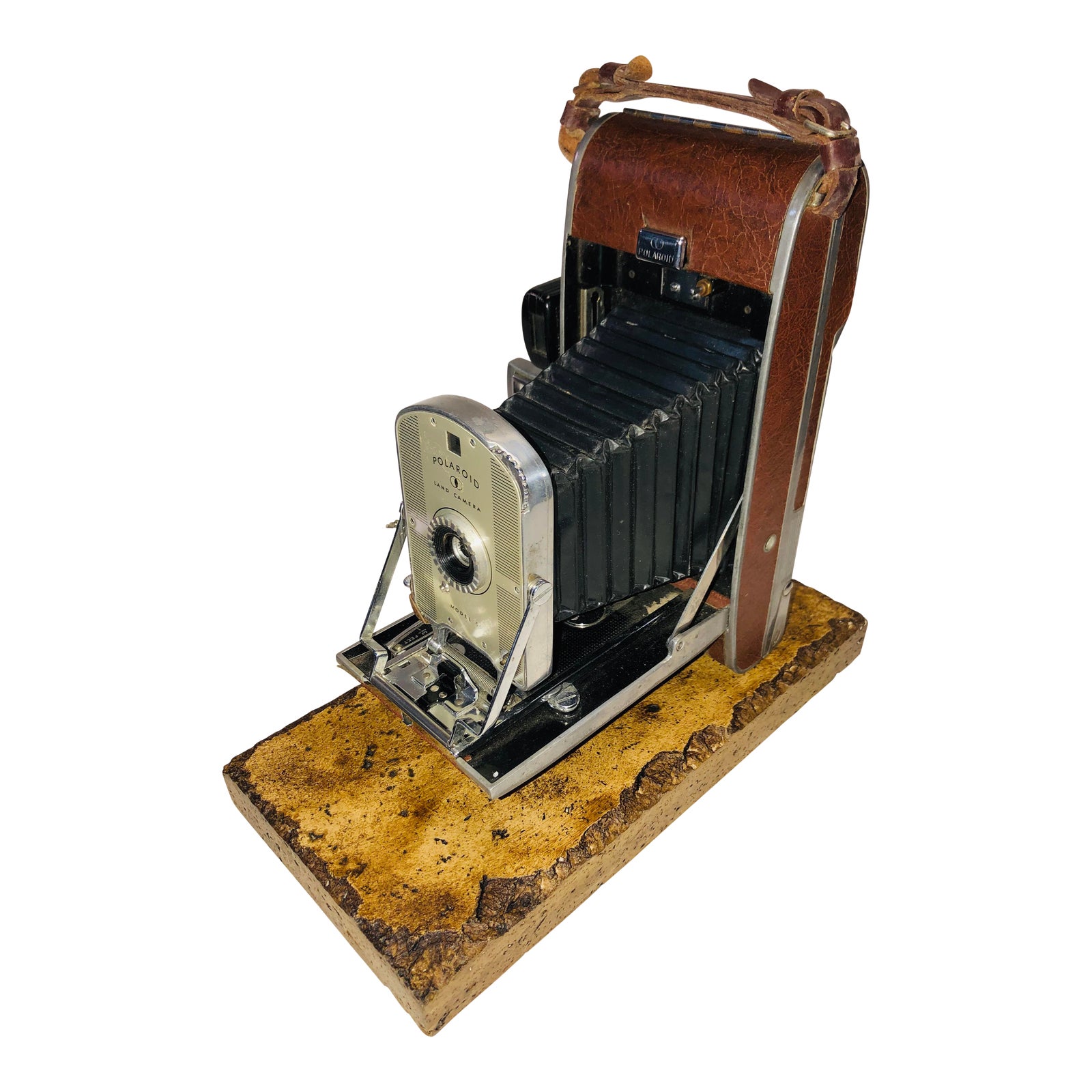 Early Large Polaroid Camera Circa 1948-1959 Display Cameras, Set of 10 ...