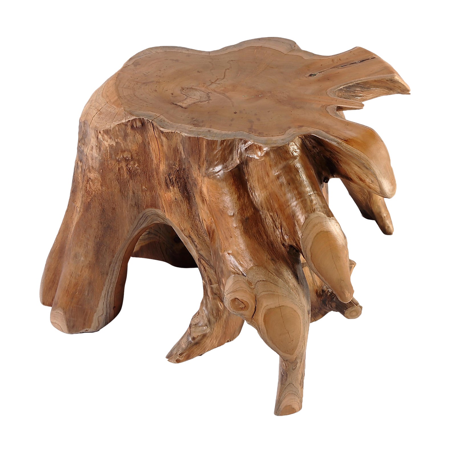 Organic Modern Nature Teak Root Accent or Side Table or Stool 4 | Chairish