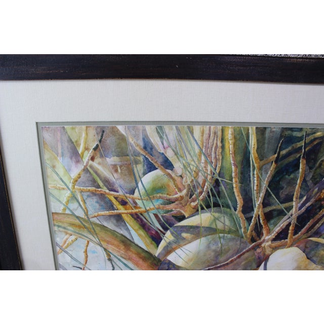 Vintage Barbara Shipman Watercolor Painting "Lots of Coconuts" | Chairish