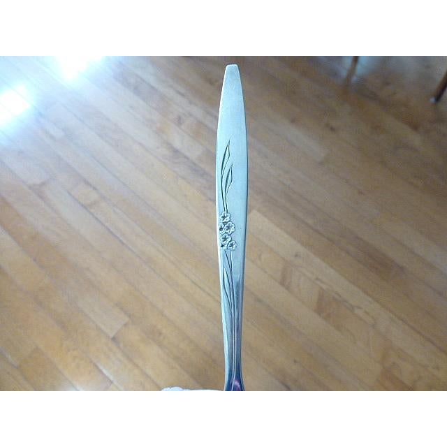 Mid Century Modern 48 Piece Oneida Community Enchantment Gentle Rose ...