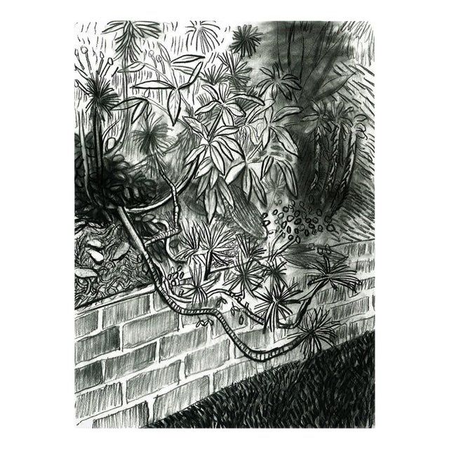 David Hockney, Cactus and Wall, 2000, Lithograph, Framed | Chairish