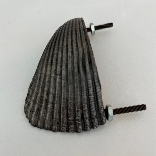 Shell Grip Bin Drawer Pull in Antique Pewter | Chairish