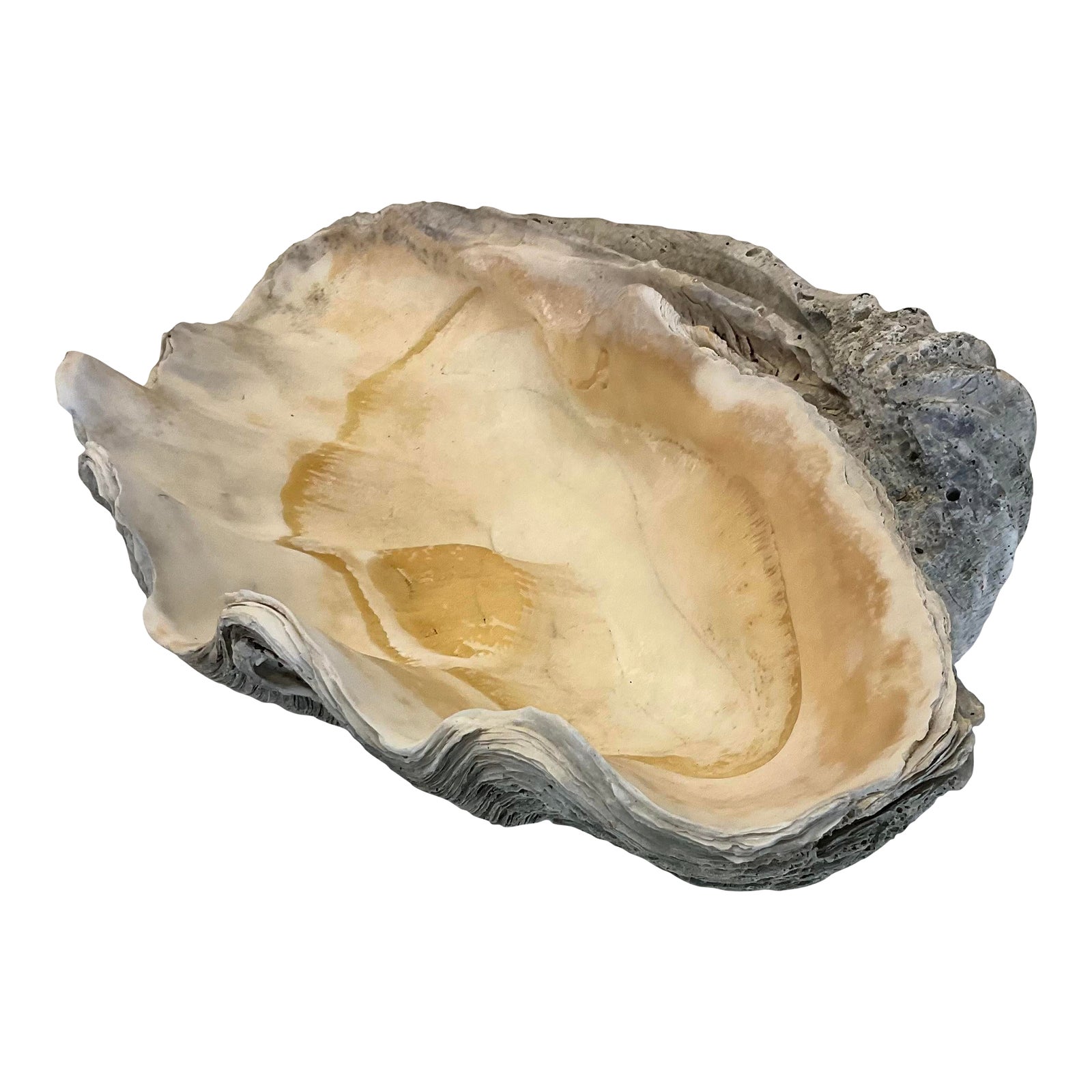 Authentic Giga Shell | Chairish