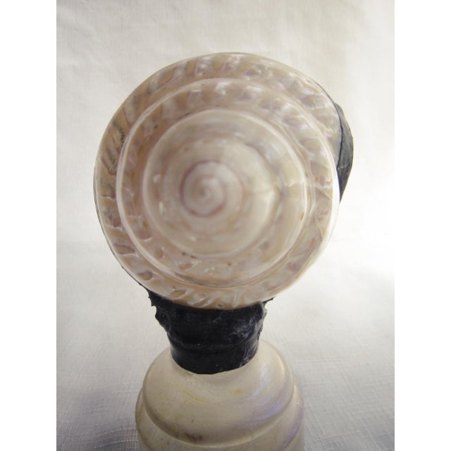 Artisan Shell Sculpture | Chairish