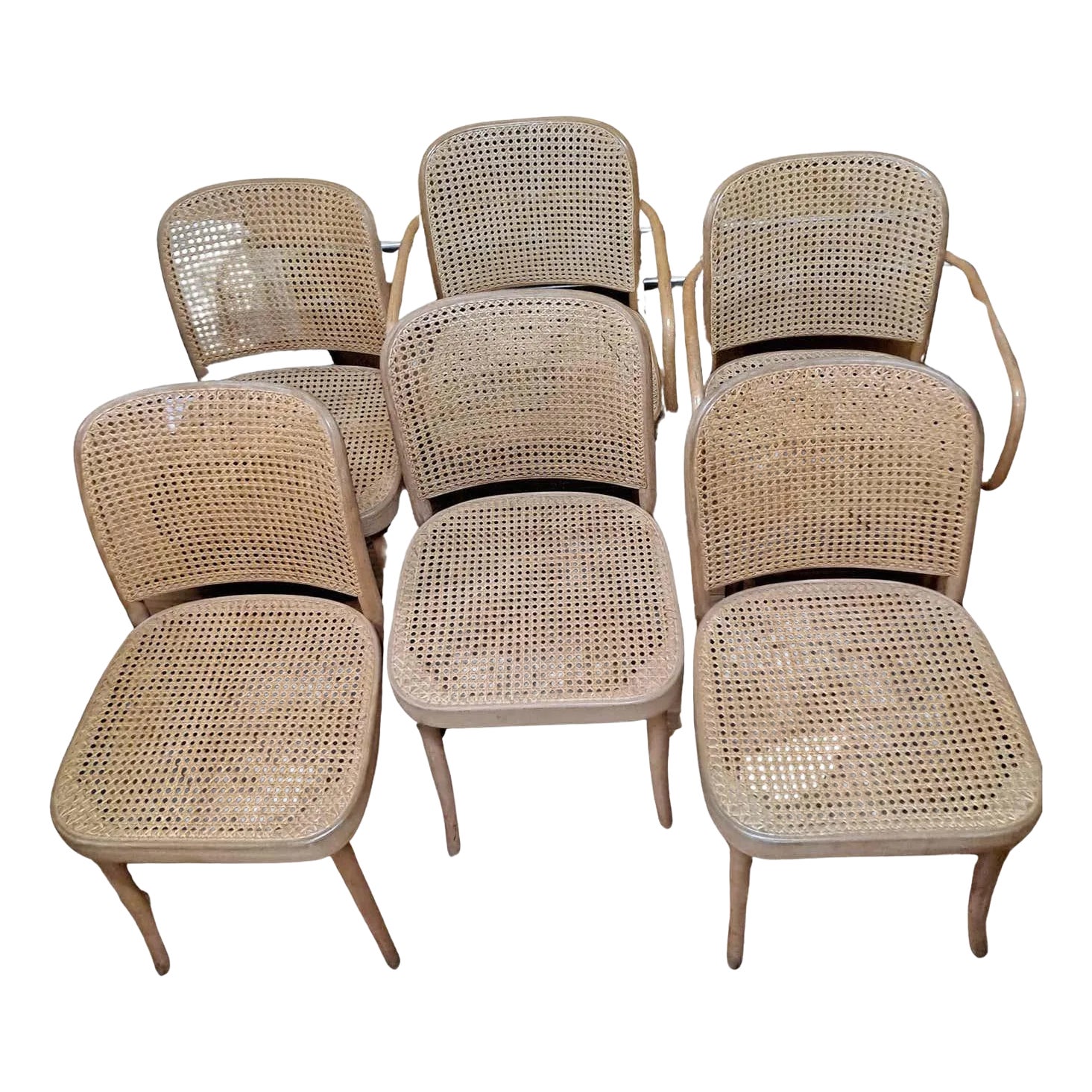 Set of 6 Josef Hoffman Bentwood & Cane Side Chairs | Chairish