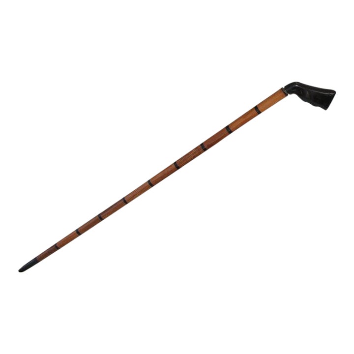 English Walking Stick Cane With Horn Handle | Chairish