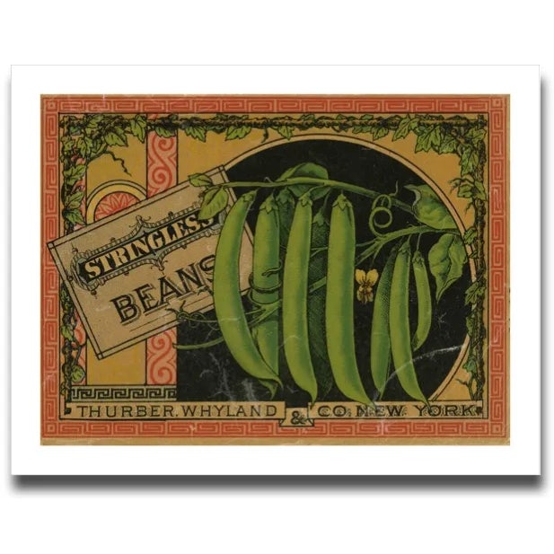 Vintage Green Bean Label Archival Print | Chairish