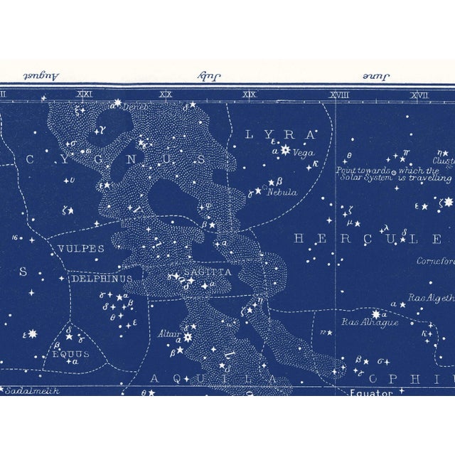 Large Antique Nautical Blue Constellation Celestial Print | Chairish