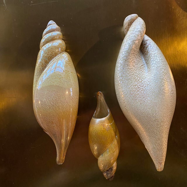 Late 20th Century Seguso Viro Murano Sea Shells - Set of 3 | Chairish