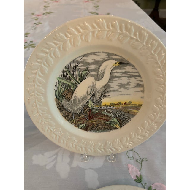 Early 1900s John James Adams Audubon Plates- Set of 4 | Chairish