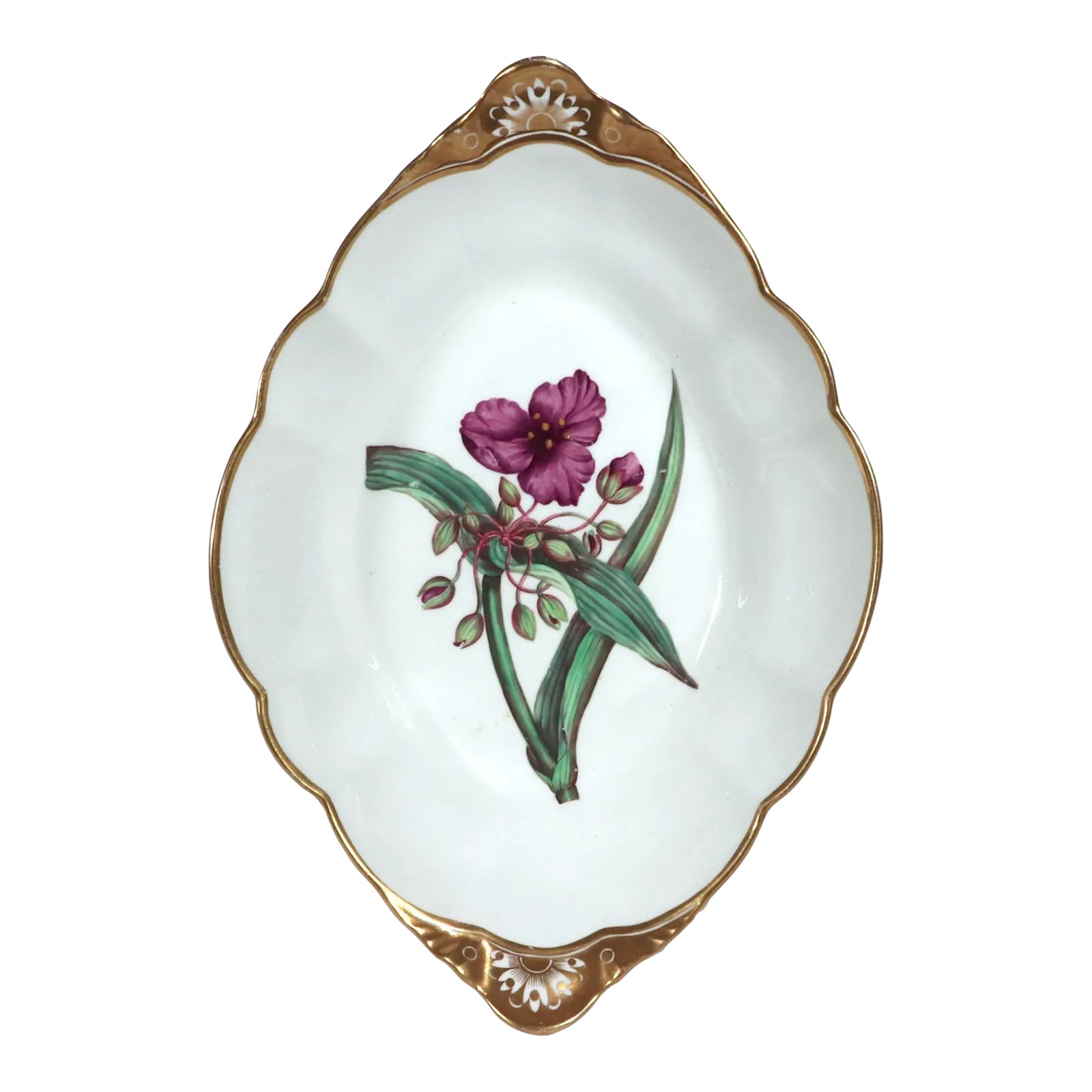 Spode Porcelain Botanical Specimen Dish of Bulbocodium Vernum, Commonly ...