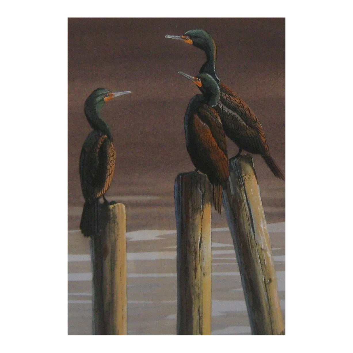Vintage Robert Barrett *3 Cormorants* Birds Painting Wildlife Artist ...