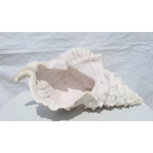 Giant Cast Resin Sea Shell Conch | Chairish