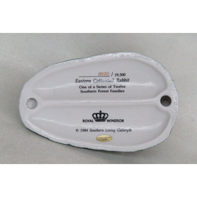 Royal Windsor Eastern Cottontail Rabbit Southern Forest Families ...