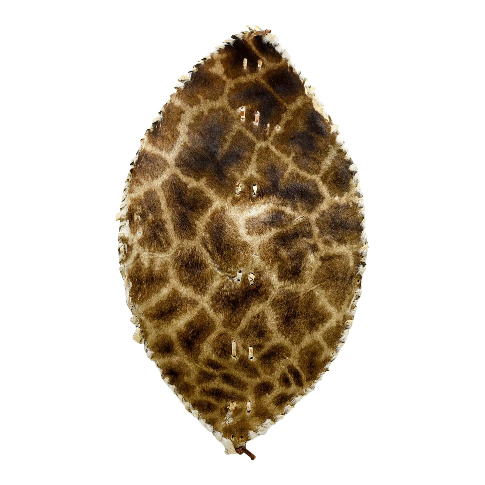 Vintage Zulu Handmade African Giraffe Hide Warrior Shield | Chairish